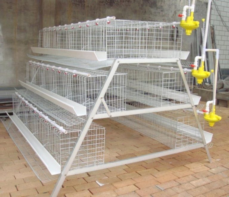 Layer Cages – Jos Poultry And Cages Layer Chicken Farm