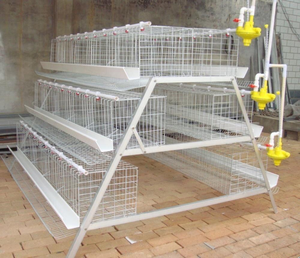 Layer Cages - Jos Poultry And Cages Layer Chicken Farm